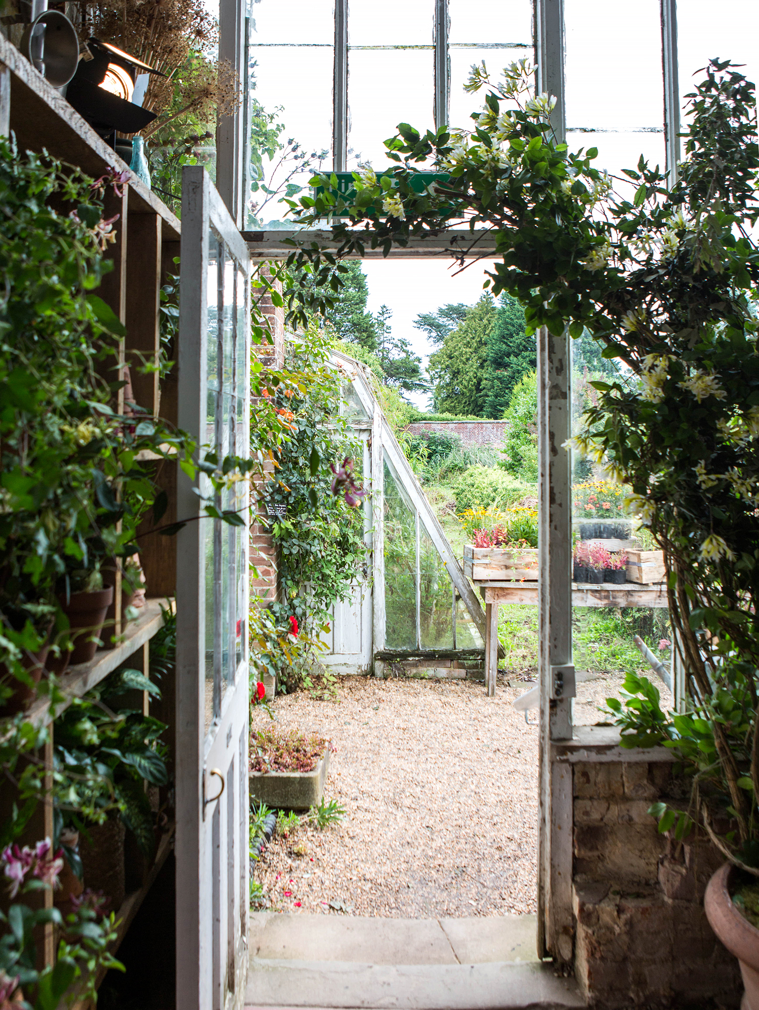 A Week in London with Jo Malone | Honeysuckle & Davana Launch – Ashley Kane