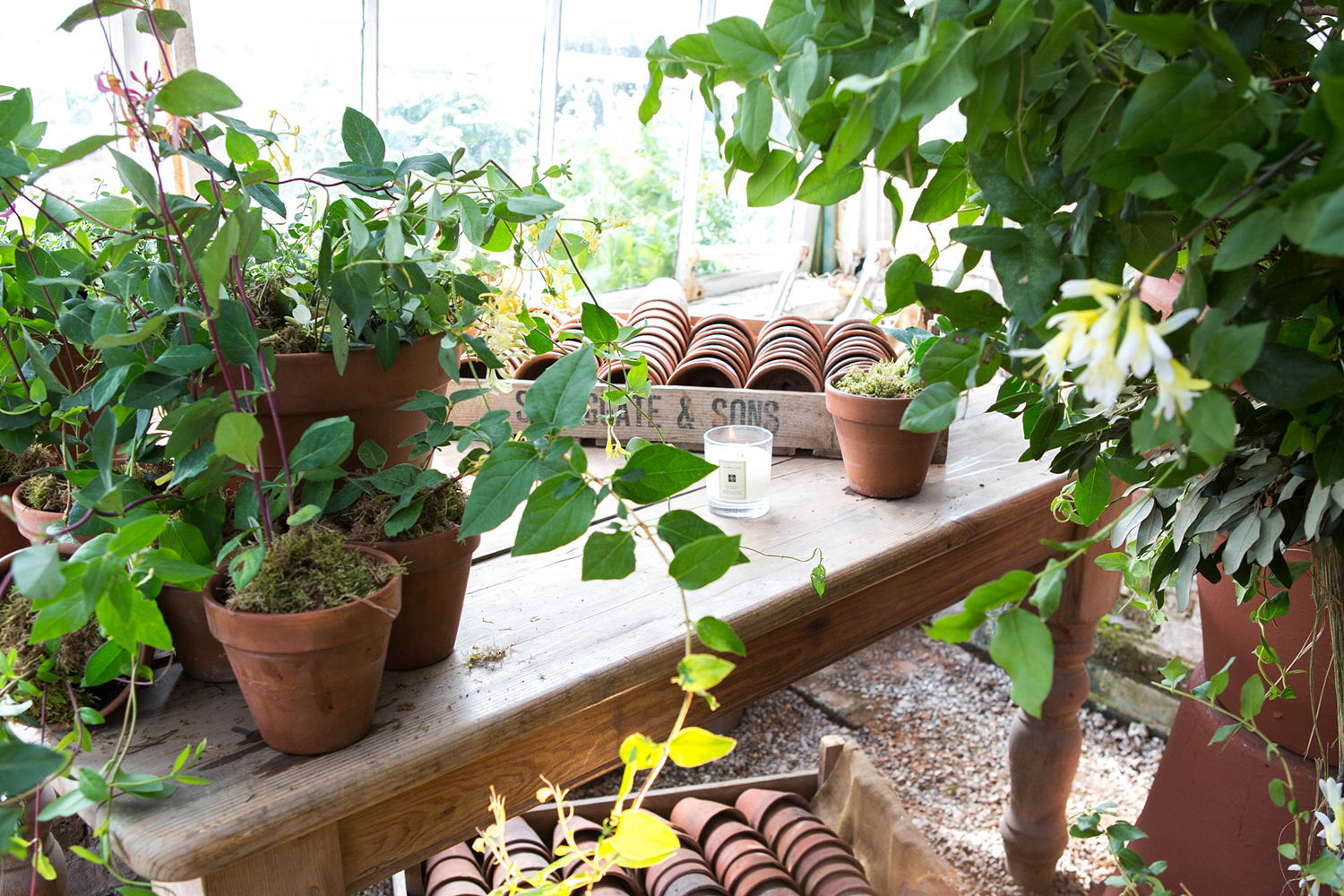 A Week in London with Jo Malone | Honeysuckle & Davana Launch — Ashley Kane